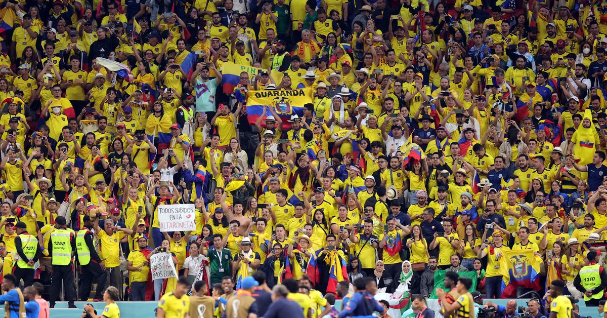 Copa Mundial Catar: Se abrió expediente disciplinario contra la ...