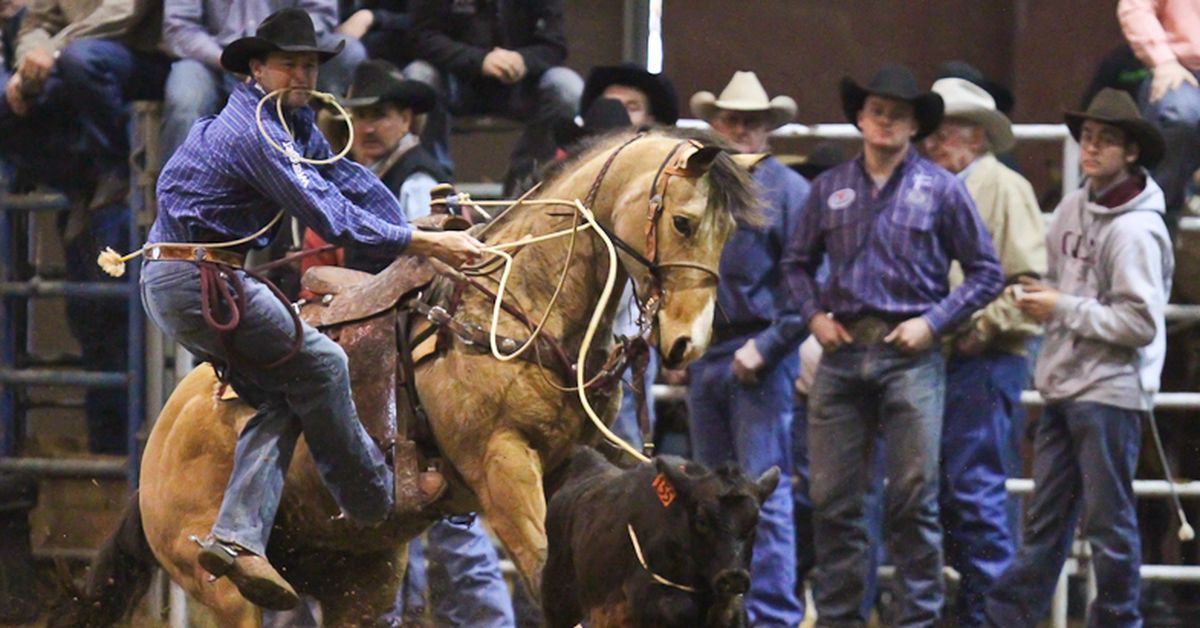 ¿Sabes como se originó el Rodeo americano? - Más deportes | Tvn Panamá