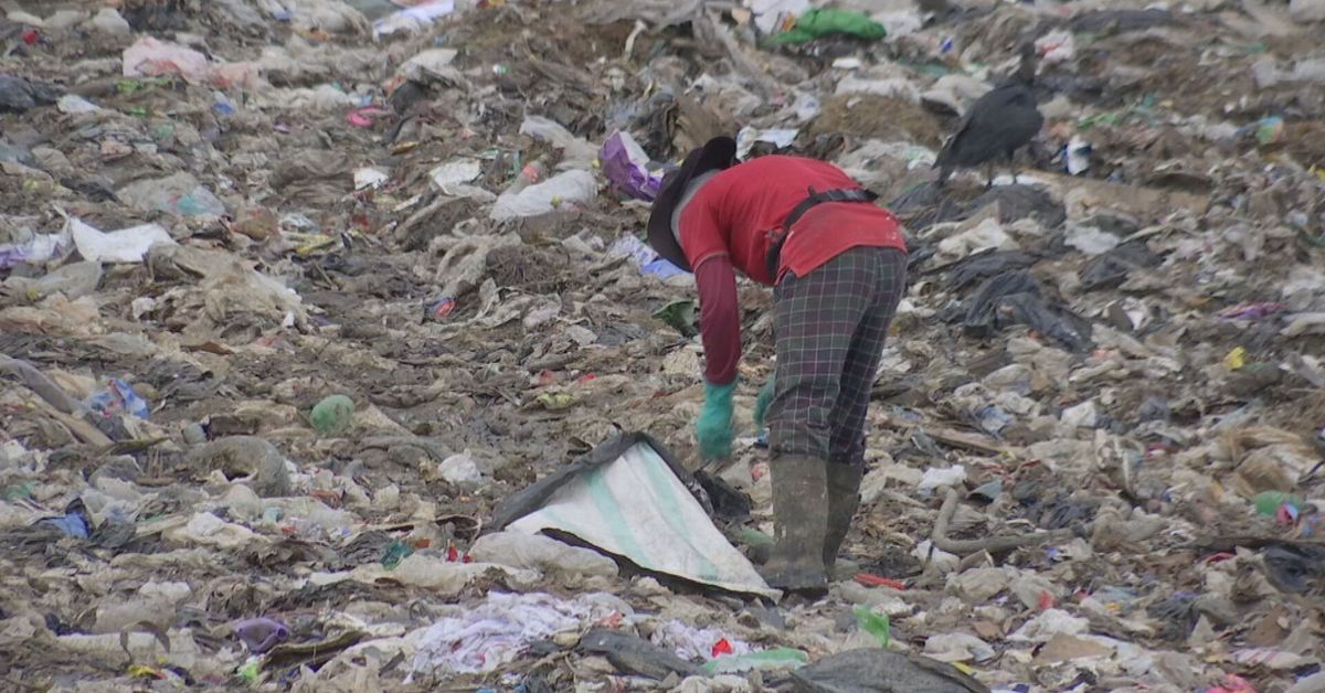 Contenido Exclusivo: Más allá de la basura - Contenido Exclusivo | Tvn ...