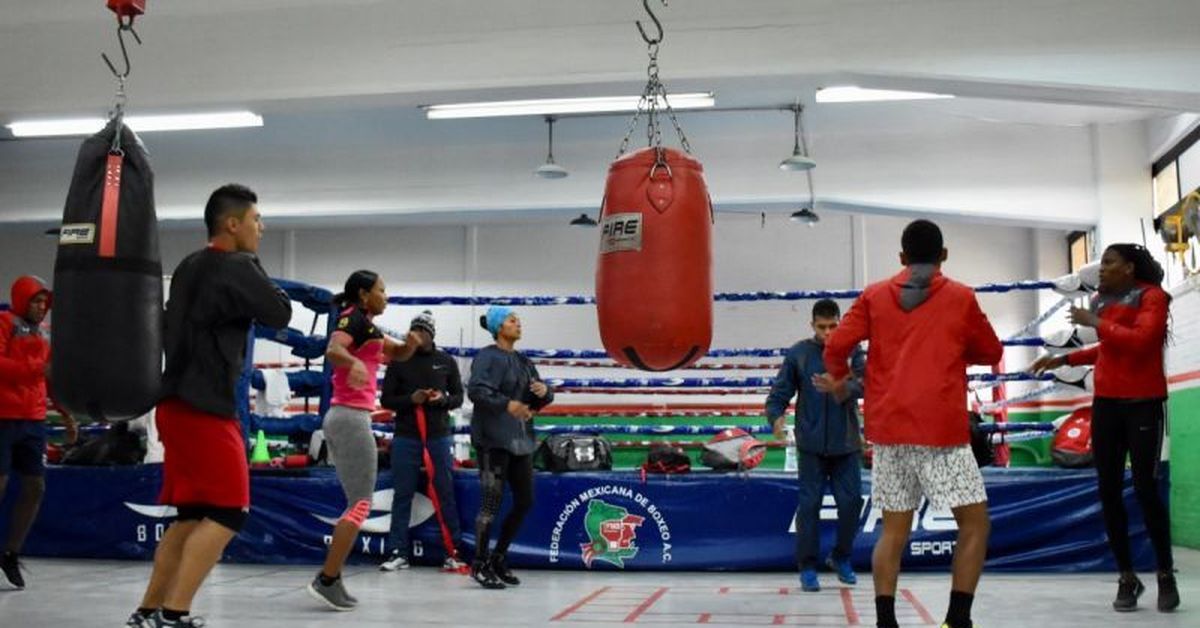 Boxeadores panameños pulen sus técnicas en México - Boxeo | TVN Panamá