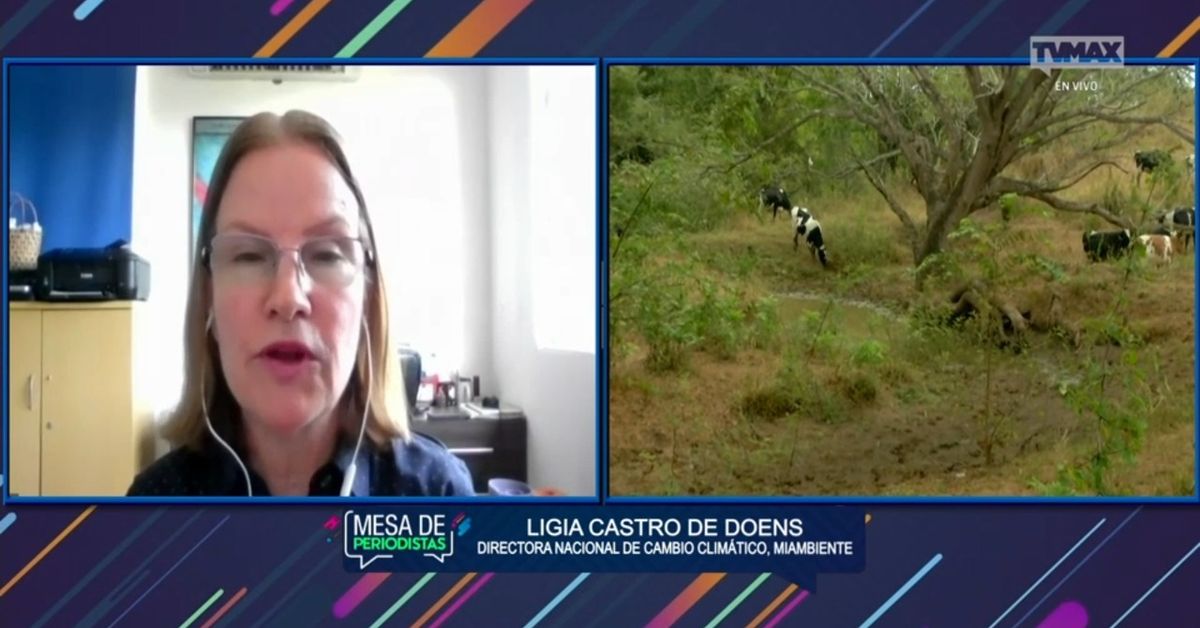 Vídeo | Mesa de periodistas - Entrevista a Ligia Castro, Directora de Cambio Climático ...
