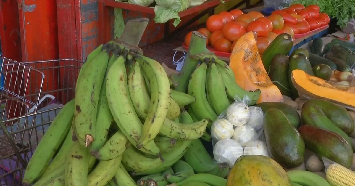Alto costo de la vida: Consumidores en Colón entre las alzas y el ...