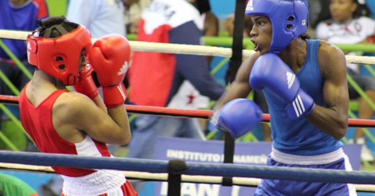 Panamá sigue en la lucha en clasificatorio a Panamericano de Boxeo - Boxeo | Tvn Panamá