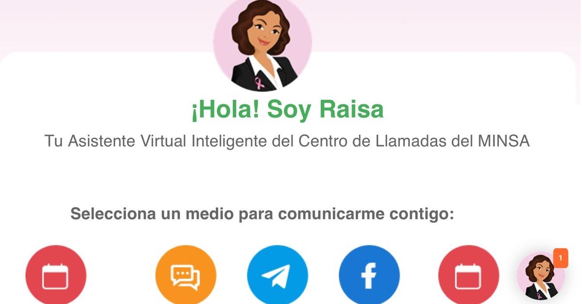 Ministerio de Salud lanza plataforma de citas Raisa y el Portal del Paciente - Nacionales | Tvn ...