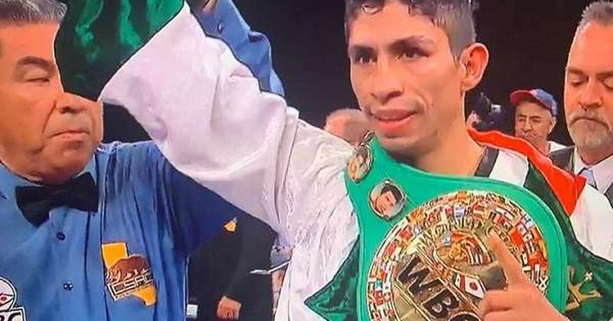 Vargas acaba con Kameda y retiene su corona de los pesos supergallo ...