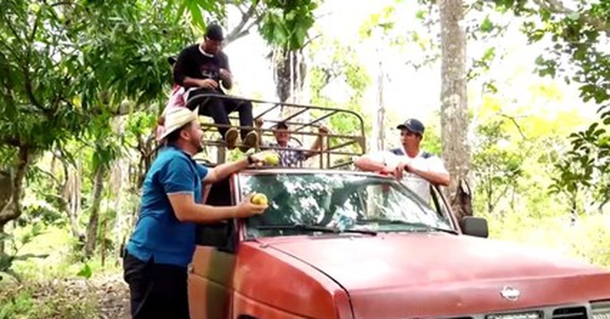 Vídeo | El más bellaco desde el Faldar de Macaracas - Hecho en Panamá ...