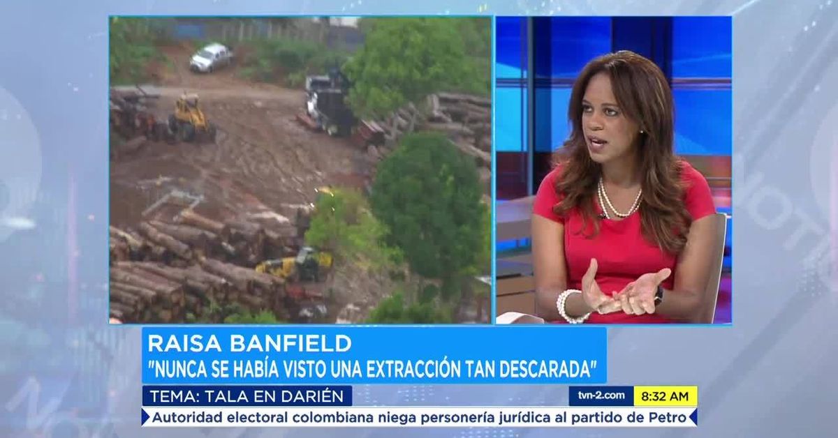Extracción de madera del Darién debe ser tema de Estado, según Raisa ...