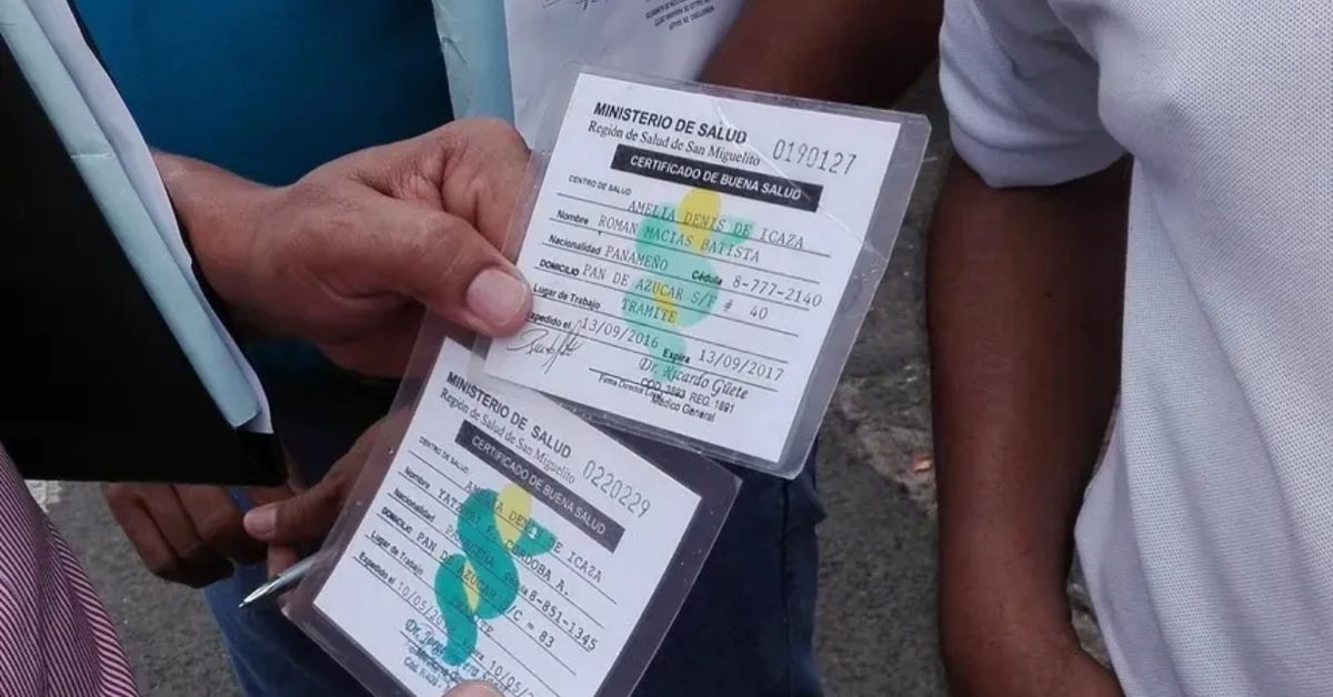 Carnet verde de salud: Panamá Norte: Conoce los requisitos y lugares ...