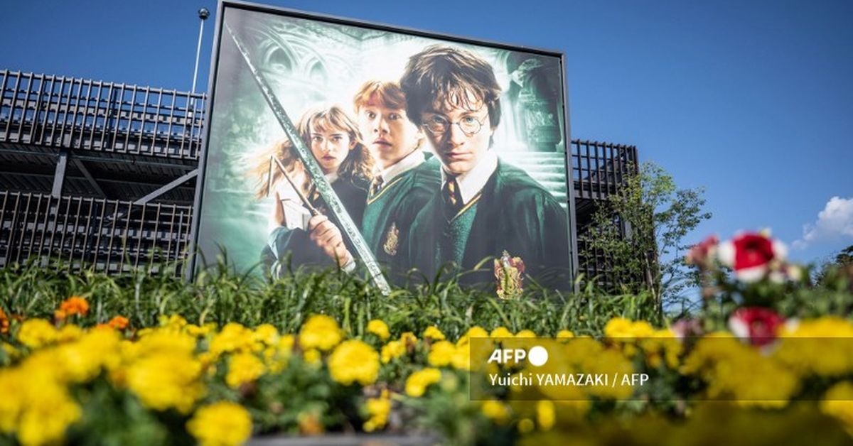 Harry Potter | Revelan al elenco de los Weasley en la nueva serie ...