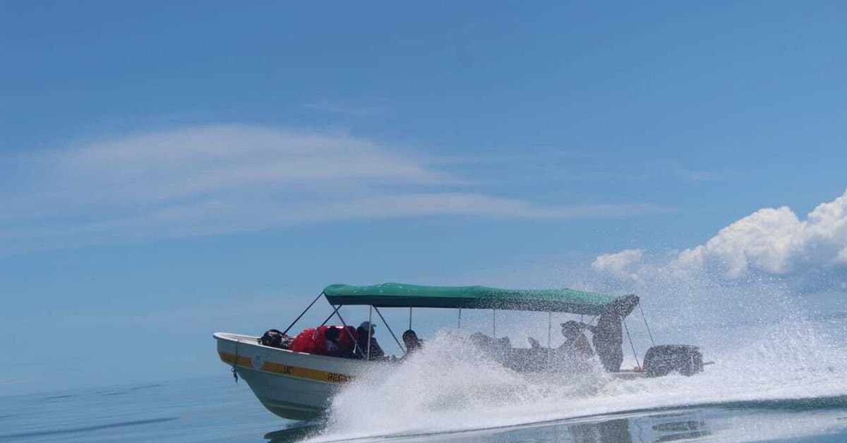 Realizan 400 hisopados durante jornada de trazabilidad en Chimán ...