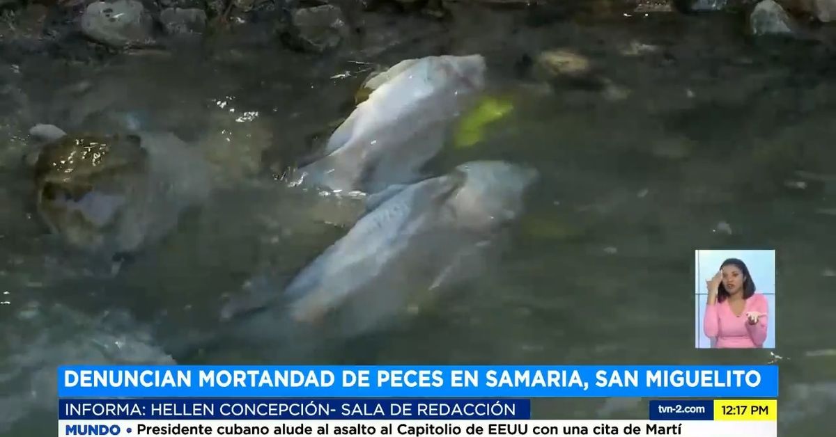 Residentes de Samaria denuncian mortandad de peces en río Palomo ...