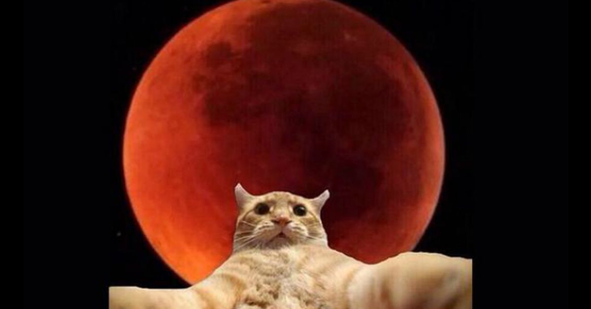 Memes de la súper luna roja - De todo un poco | Tvn Panamá