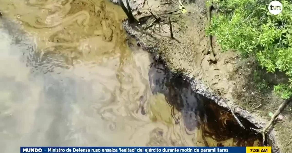 Daño ambiental: Falta de prevención y sanciones contribuye a la ...
