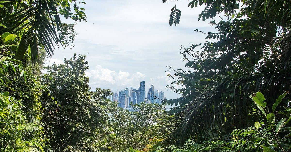 Ciencia en Panamá: La valiosa información que se ha recolectado sobre ...