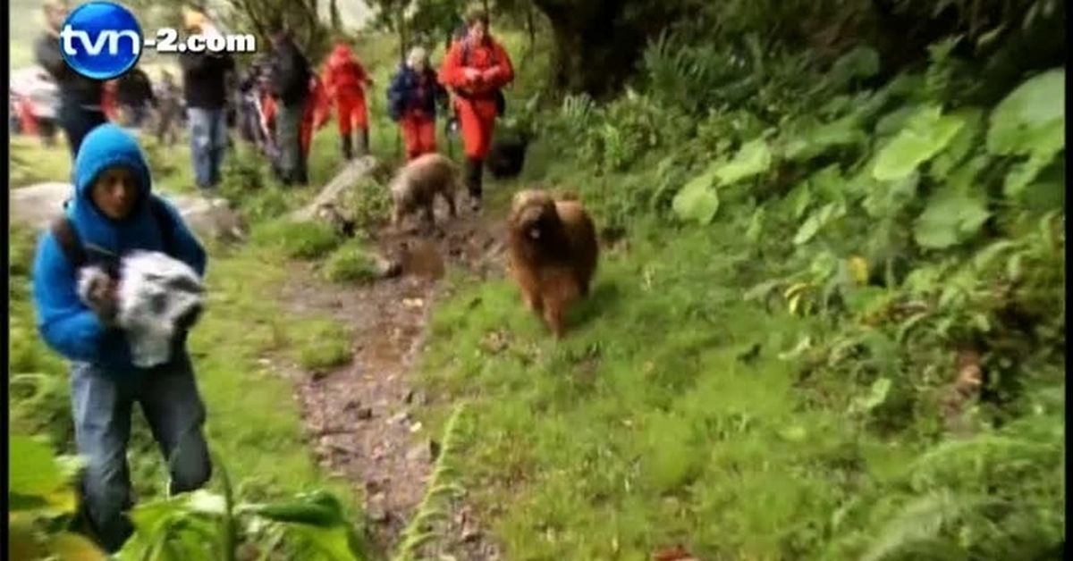 Forense confirma que restos son de Lissane - Nacionales | Tvn Panamá