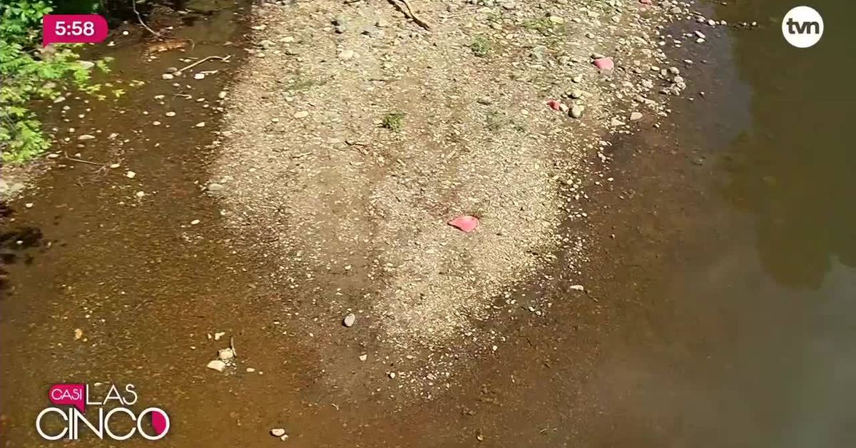 Vídeo | Este año Panamá está 1° más caliente, en comparación a 2022 ...