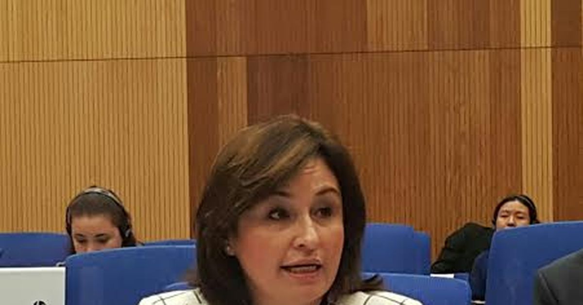 Porcell dice que investigación sobre 'Panama Papers' avanza con 'paso ...