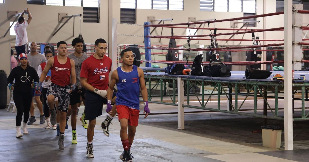 Arrancan los entrenamientos de boxeo en el Albergue Olímpico de Puerto ...