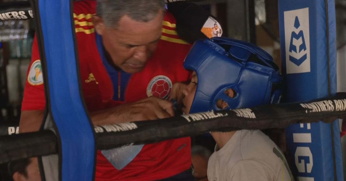 Vídeo | Academia panameña de boxeo expone nuevos talentos con cartelera ...