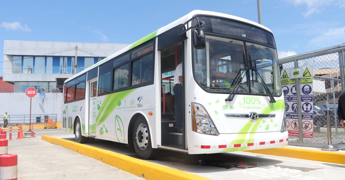 Transporte público: MiBus busca implementar más rutas de buses ...