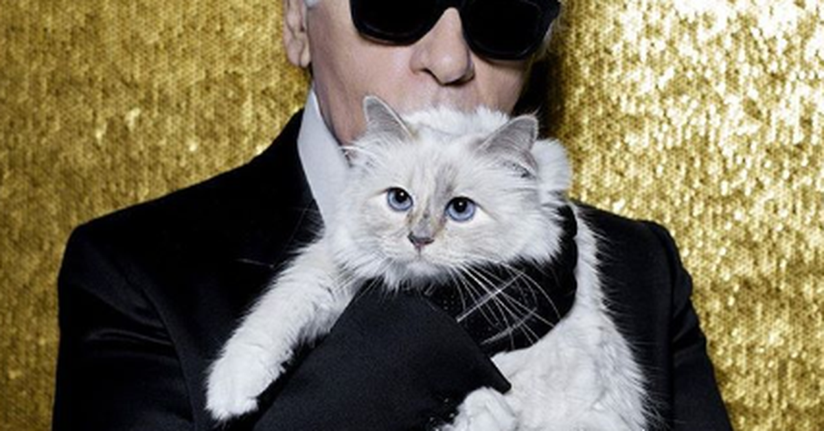 Choupette Lagerfeld: ¿Quién es Choupette y cómo heredó millones de ...