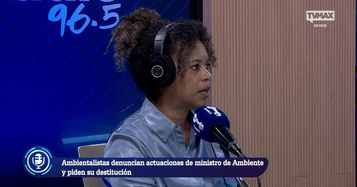Vídeo | Raisa Banfield sobre contrato minero: 'El gobierno se mantiene ...
