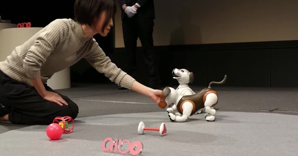Sony presenta una versión 'policía' de su perro-robot Aibo - Tecnología | Tvn Panamá
