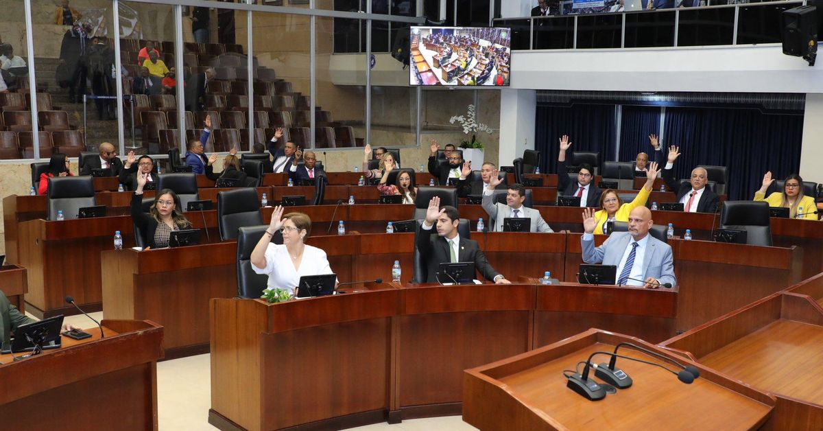Asamblea Nacional Asamblea Nacional Diputados Reaccionan Al Proyecto