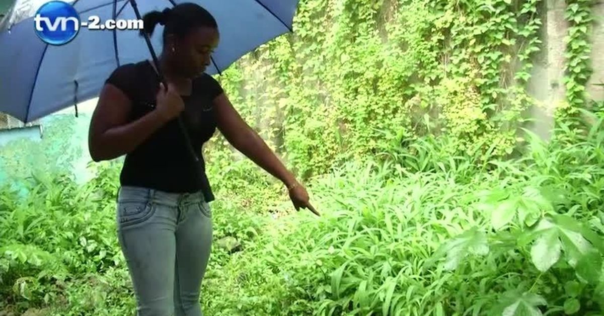 Residentes de Curundú amenazan con cerrar calle - Nacionales | Tvn Panamá