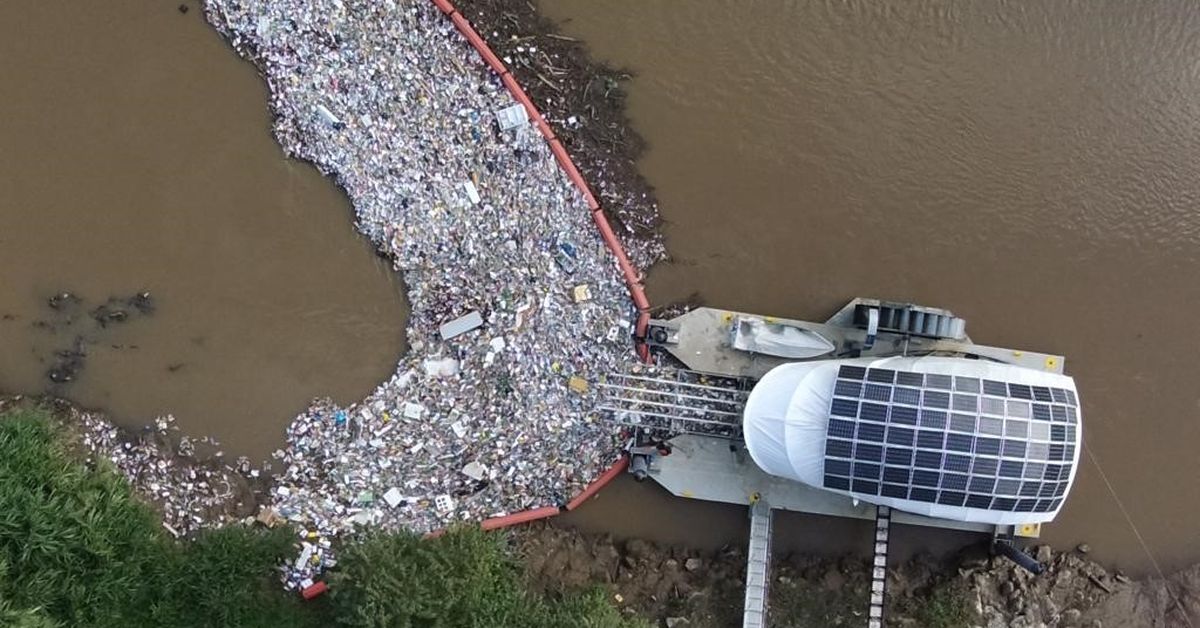 Proyecto Wanda: Marea Verde presenta resultados 2023 de su proyecto ...