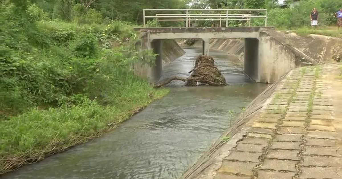 Videos de Noticias | TVN Panamá