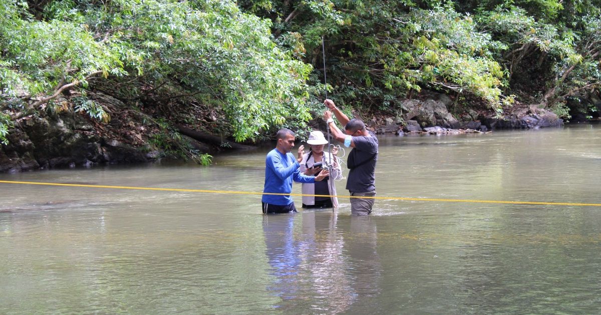 Fenómeno de El Niño: Revisan niveles de ríos de las cuencas ...