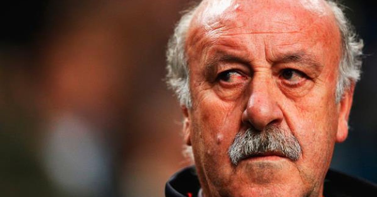 Del Bosque: "Pitar a un jugador es pitar a la Selección" - Fútbol ...