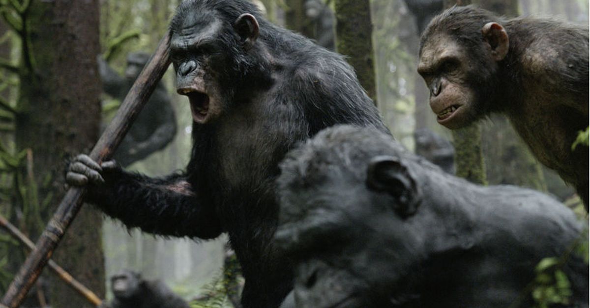 Maestro de movimiento transforma actores en simios - Nacionales | Tvn ...