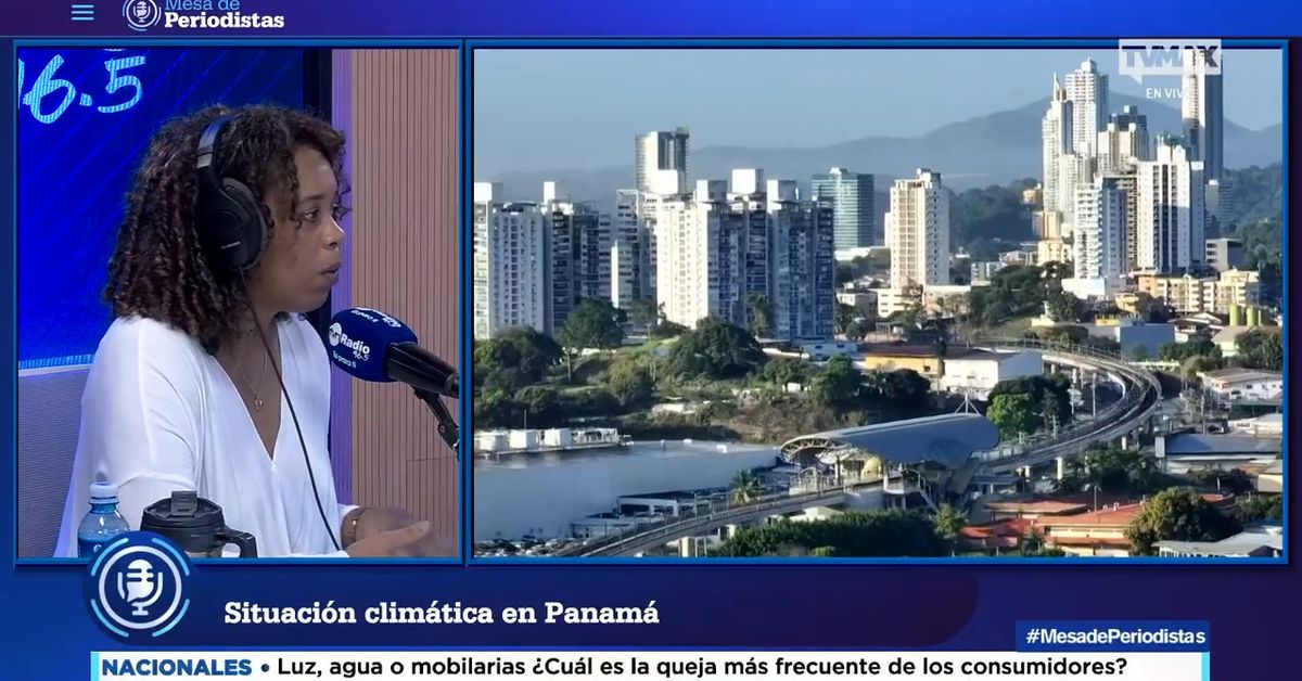 Minera Panamá: Raisa Banfield acuerdo minero: ‘Panamá está en desacato ...