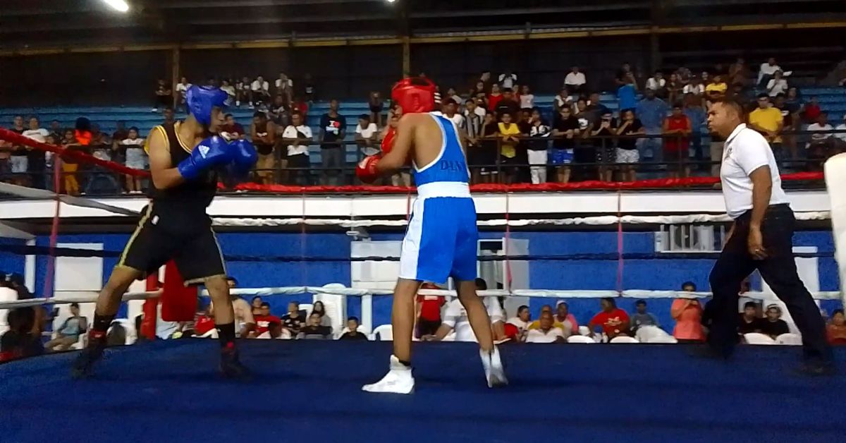 Cartelera: Boxeo: Despliegue de talento sobre el ring en la 24 de ...