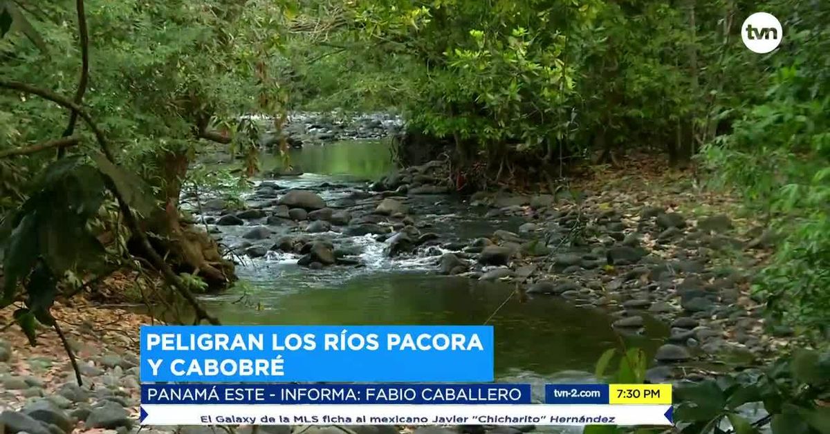 Videos de Noticias | TVN Panamá