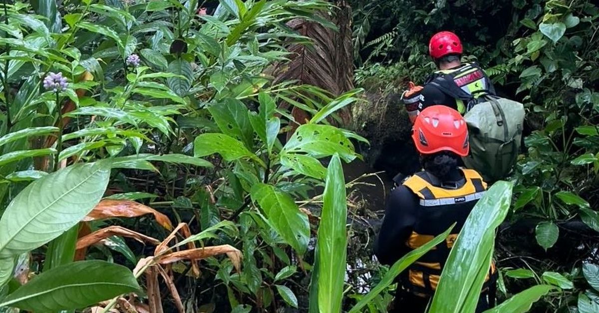 Más de 40 rescatistas buscan ciudadano desaparecido en Macho de Monte ...