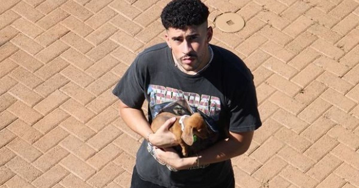 Rapero Bad Bunny elimina video donde sale el boxeador Félix Verdejo ...