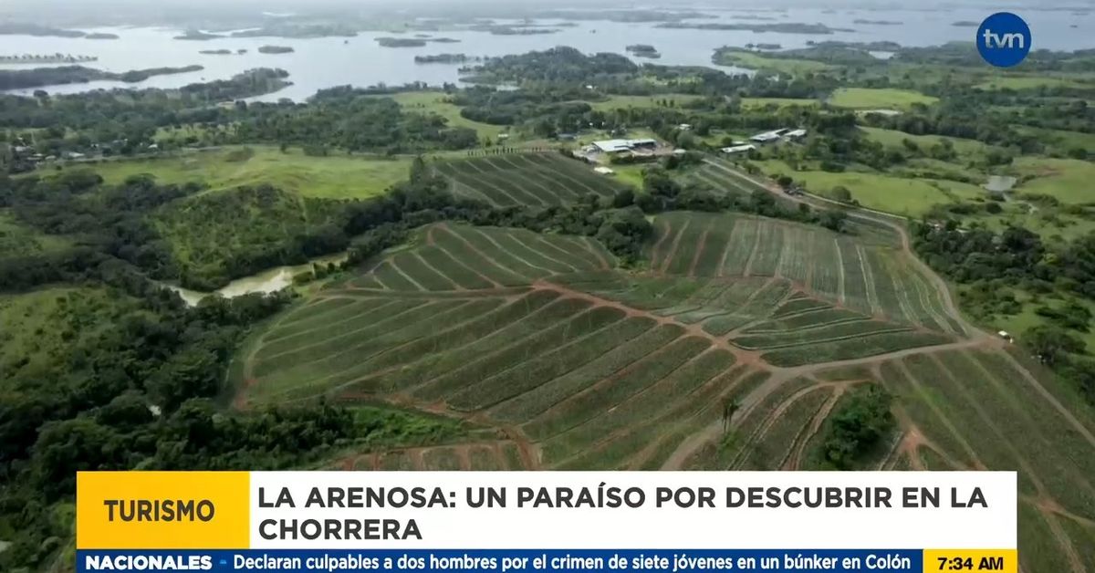 Videos de Noticias | TVN Panamá