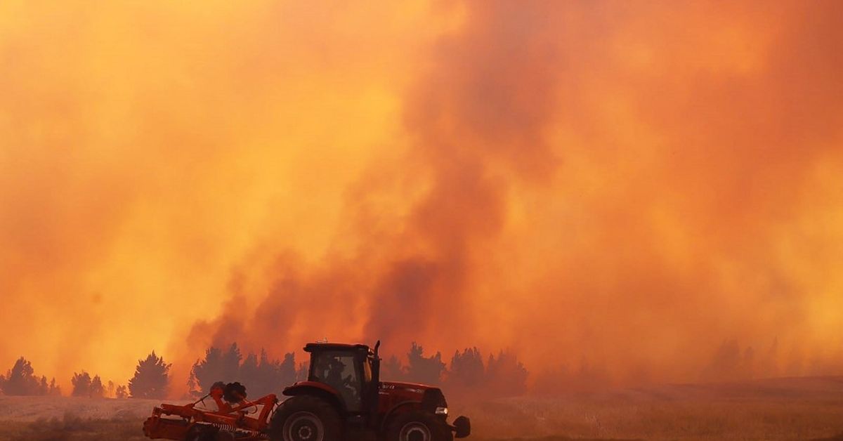 Incendios forestales impulsados por fuertes ráfagas de vientos afectan ...