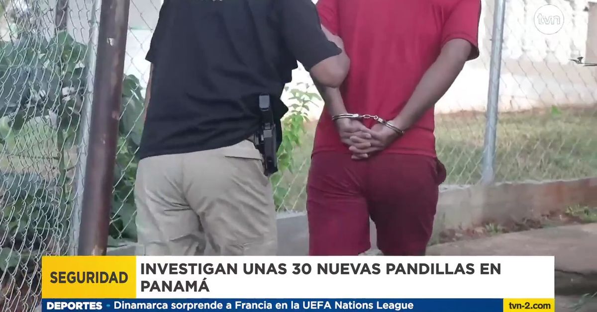 Pandillas en Panamá: Investigan surgimiento de nuevas pandillas que ...
