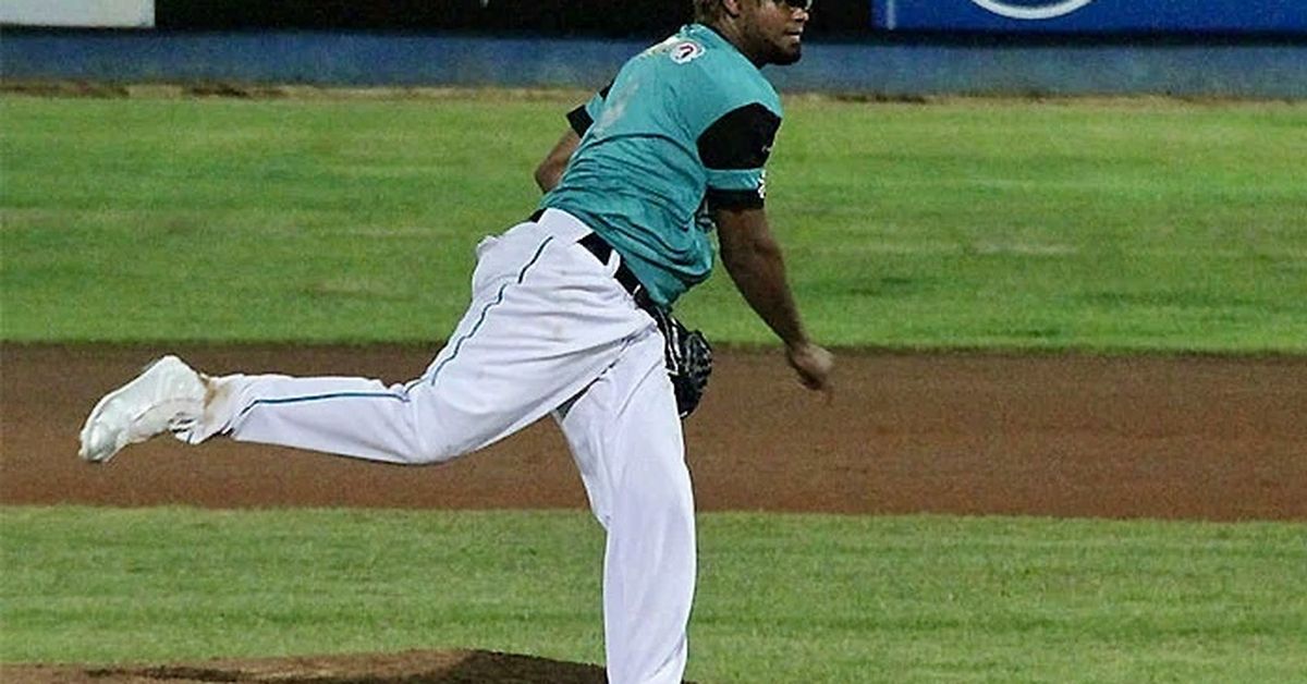 Manuel Corpas anuncia su retiro del béisbol organizado - Beisbol | Tvn ...