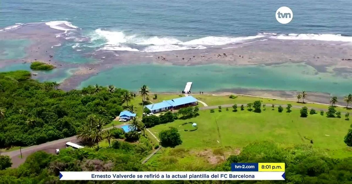 Vídeo | Punta Galeta; un centro de investigación mundial - Mundo Verde ...