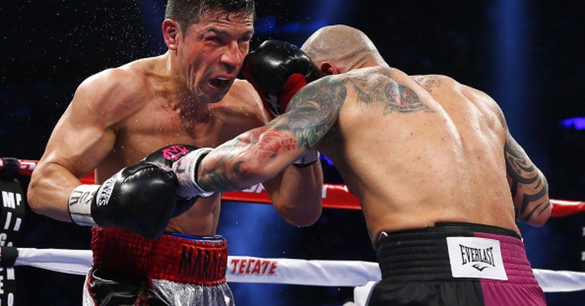 Recuperarse de las lesiones será clave para "Maravilla" - Boxeo | Tvn ...