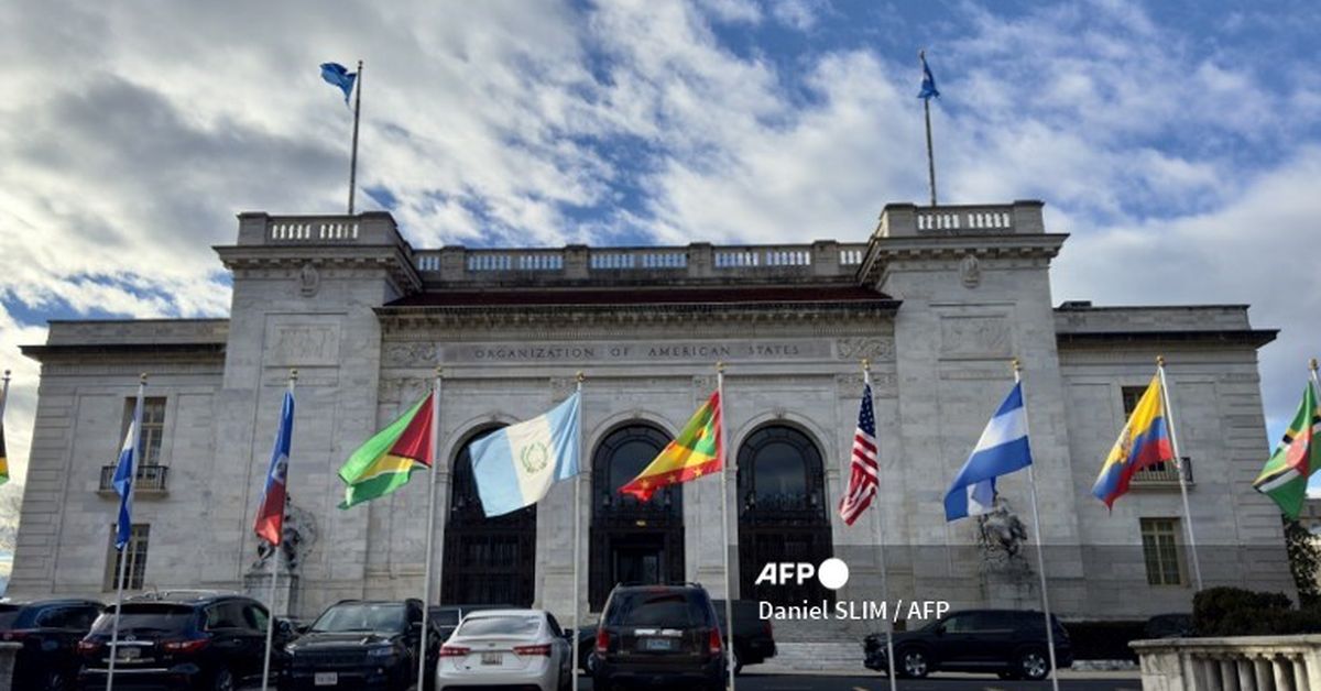 Jefa de gabinete del secretario general de la OEA deja su cargo en ...