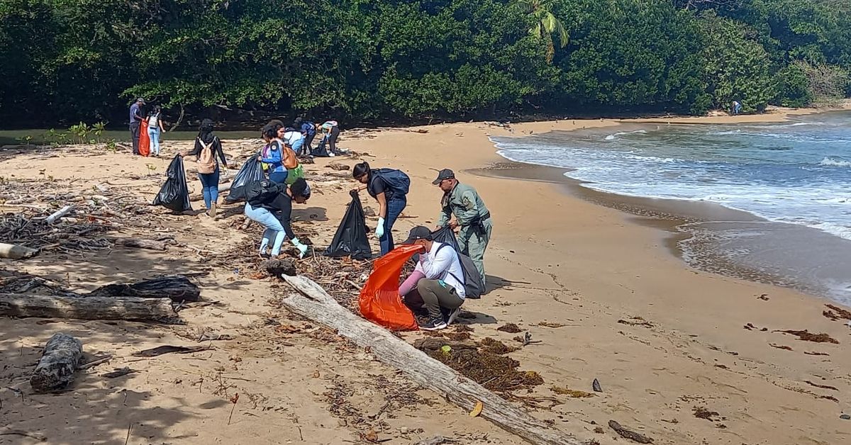 Universitarios colonenses realizan limpieza en playa Diablo en San ...