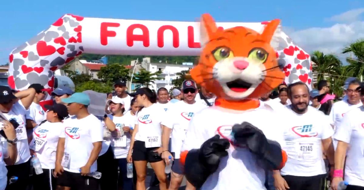 El Machetazo promueve acciones que generan un impacto positivo y ...