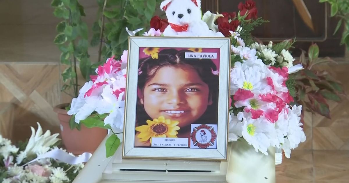 Vídeo | Pruebas vinculan a presunto homicida de Lina Rojas ...