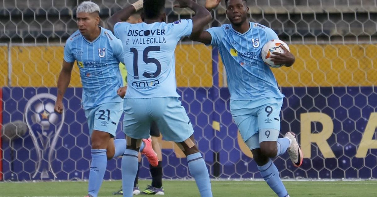 Selección de Panamá: José Fajardo | ¿Ya viste el gol del panameño en Copa Sudamericana? - Somos ...